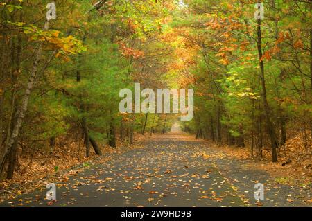 Rail-trail, Farmington Canal Heritage Trail, Connecticut Stock Photo ...