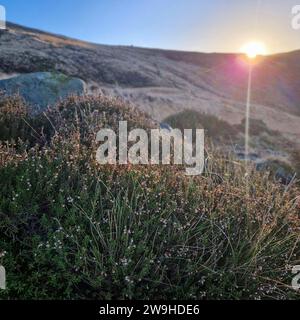 This inspiring collection encapsulates a full day's journey along the ...