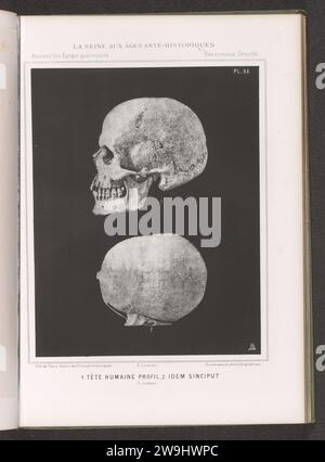 Two views of a human skull, top view and and profil, Ville de Paris ...