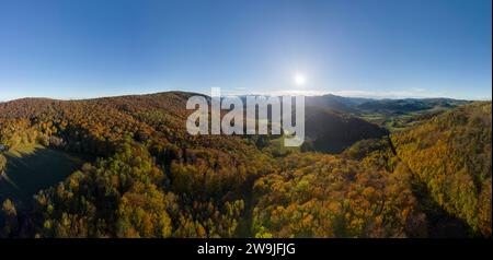 Altenmarkt an der Triesting: view to forest Wienerwald, (Vienna Woods ...