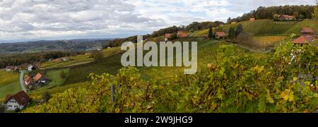 Vineyards in autumn, near Kloech, panoramic view, south-eastern Styrian ...