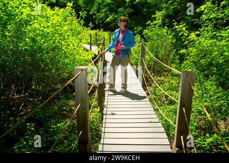 Bent at the river Stock Photo - Alamy