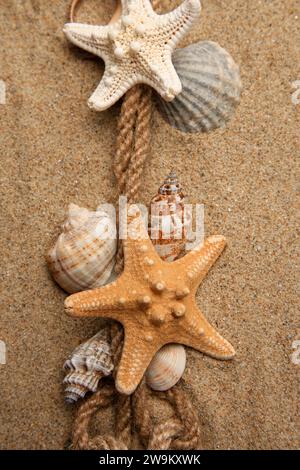 Beautiful sea stars, shells and rope on sand, flat lay. Space for text ...