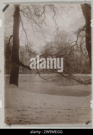Face in the Hague Bos, 1923 photograph Netherlands photographic support ...