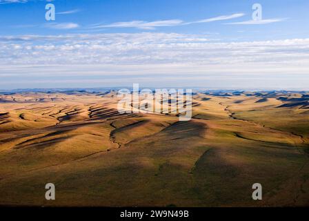 Aerial of steppe grasslands, Mongollia Stock Photo - Alamy