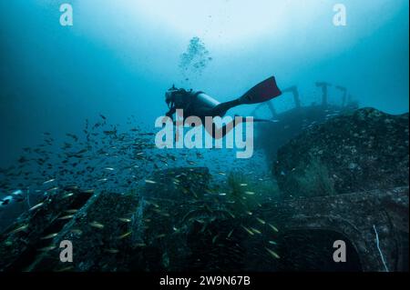 diver exploring wreck close to the island of Koh Tao / Thailand Stock ...