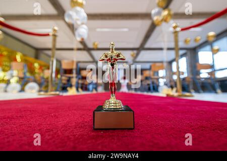 German Abitur Graduation party room decoration with Balloons and Award ...