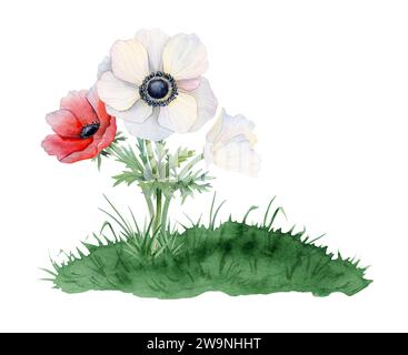 bouquet of anemones Stock Photo - Alamy