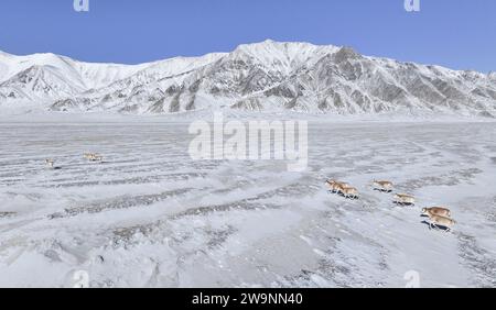 (231229) -- URUMQI, Dec. 29, 2023 (Xinhua) -- This aerial photo taken ...