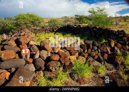 Village rock wall ruins, Lapakahi State Historical Park, Hawaii Stock ...