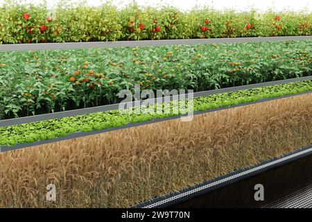 indoor vertical farming - 3D-Illustration Stock Photo - Alamy