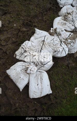 Hollen, Germany. 30th Dec, 2023. Sandbags are lying on the river ...