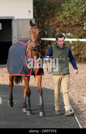 Farceur de Maulne, ridden by Brendan Powell and trained by Richard ...