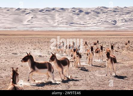 Urumqi. 23rd Dec, 2023. This aerial photo taken on Dec. 23, 2023 shows ...
