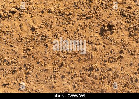 Stony ground texture background. Red Soil Tropical laterite soil or red ...