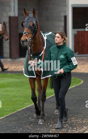 Lamanver Bel Ami, ridden by James Best and trained by Jack Barber ...