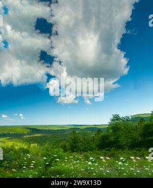 View of the lower Jordan valley landscape, from Belvoir Fortress ...