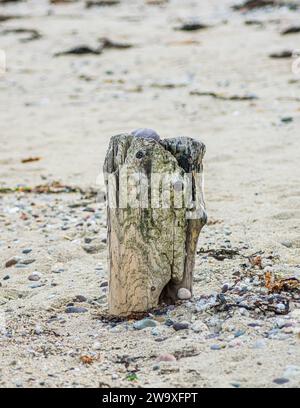 Sandy Beach Isle of Arran Stock Photo - Alamy