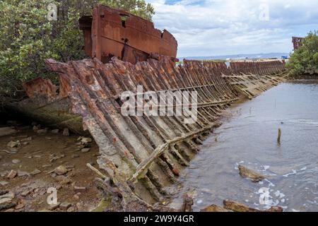 The corroding shell of a steel hulled ship wreck partially submerged at ...