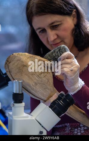An archaeologist from the State Museum of Prehistory examines a skull ...