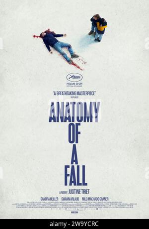 Anatomy of a Fall (2023) directed by Justine Triet and starring Sandra ...