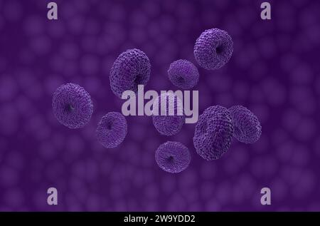 Grass pollen grains - isometric view 3d illustration Stock Photo - Alamy