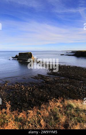 View over the Cleet of Brough rocks, Brough village, Caithness ...