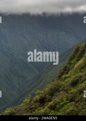 Mist-shrouded mountains rise above the Waihe'e Ridge, a testament to ...