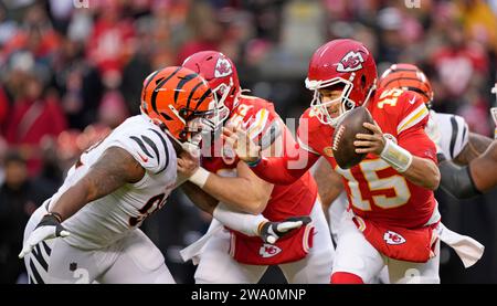 Cincinnati Bengals defensive tackle BJ Hill (92) reacts during an NFL ...