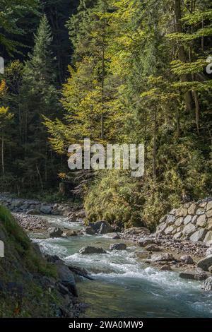 Mountain river Partnach, near the entrance to the Partnach Gorge ...