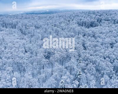 An aerial shot of a road surrounded by trees in a forest Stock Photo ...