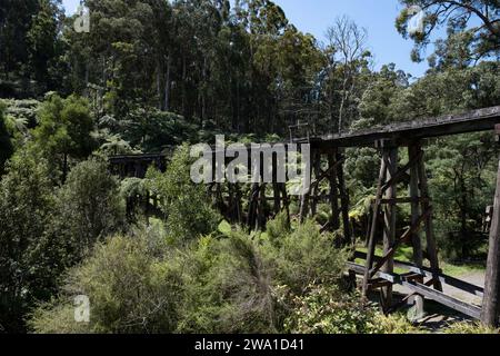 Wooden old Monbulk iconic Puffing Billy-Railway Trestle Bridge built in ...
