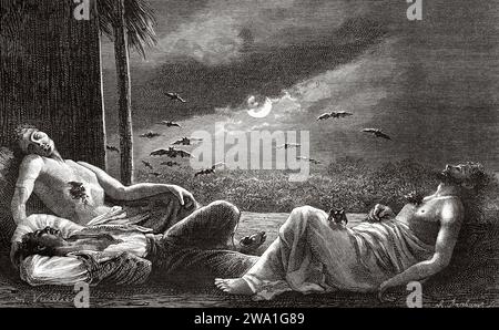 Spectral Bat, Vampyrum spectrum. Great false vampire bat or Linnaeus's ...