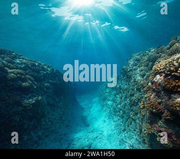 Underwater landscape, a natural trench into the reef slope due to wave ...