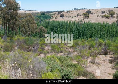 Landscape at Red Knob was created by high-pressure sluicing for gold ...