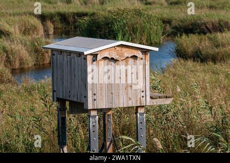 bat nest box, larger bat nest box of Europe, with more than usful 100 ...