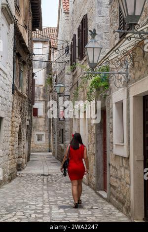 TROGIR, CROATIA - SEPTEMBER 11, 2016: This is a silhouette of a palm ...