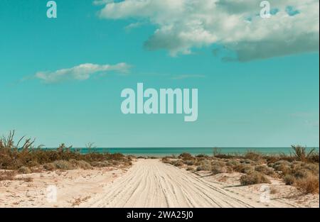 Beautiful natural landscapes in Baja California, Mexico Stock Photo - Alamy