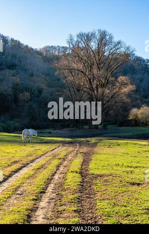 Beautiful scene in the Veio Regional Park, near Formello, Province of ...