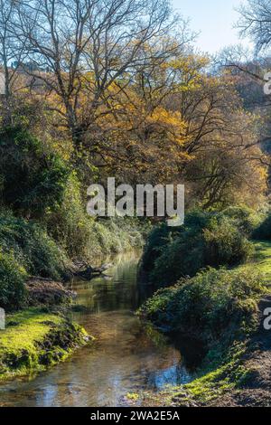 Beautiful scene in the Veio Regional Park, near Formello, Province of ...