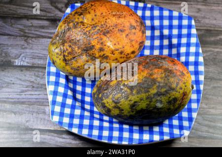 Mango fruit with mold, mould is one of the structures that certain ...