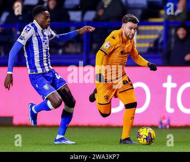 Djeidi Gassama 41 of Sheffield Wednesday celebrates his goal during the ...