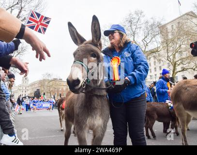 Members of The Donkey Breed Society with donkeys during the New Year's Day Parade in central ...