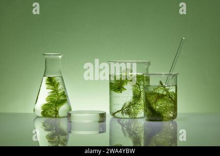 Glass beakers of seaweed and erlenmeyer flask with green leaves inside ...