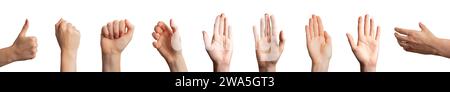 Hand gestures, greeting hi, fist up, hold, palm and clenched fingers set. Arm sign isolated on ...