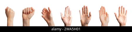 Hand gestures set. Hi, greeting, fist up, okay, thumb up, victory ...
