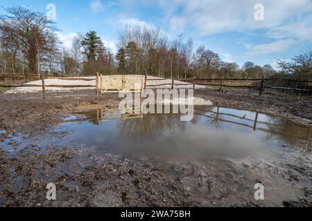 New wildlife pond created at Magdalen Hill Down Nature Reserve, a chalk ...