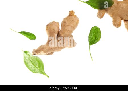 Flying ginger roots and basil leaves on white background Stock Photo ...