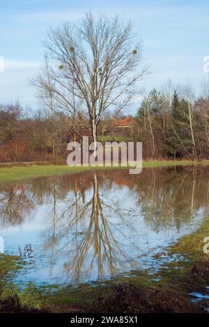small river overflows after a period of prolonged heavy rain flooding ...