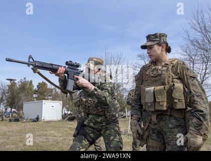 US Navy A member of Naval Expeditionary Logistics Support Force Forward ...